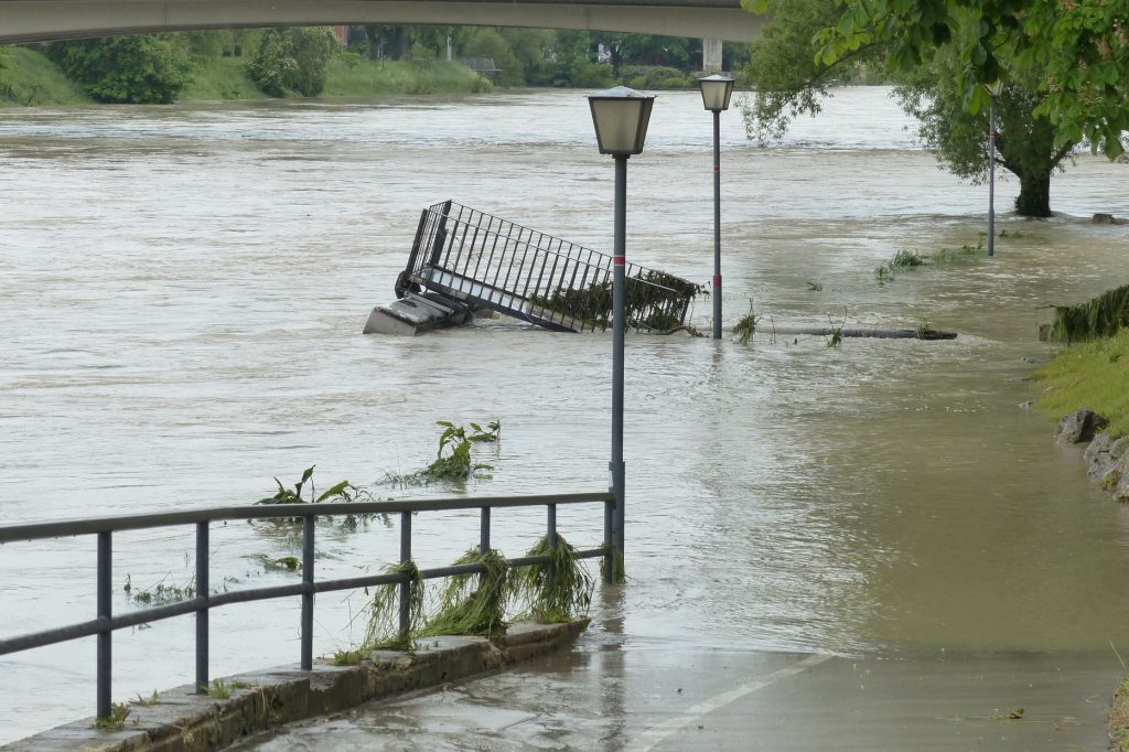 Photo Gallery – LUAD